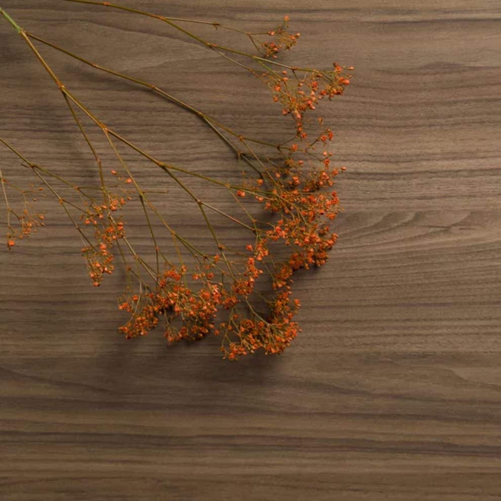 Cleaf By DecoLegno Meubelpanelen Op Maat Gezaagd